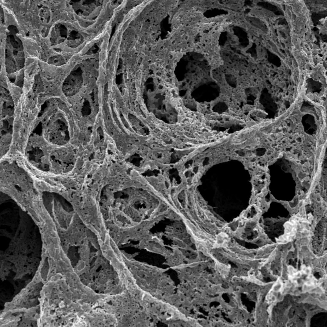 como determinar a porosidade de um material